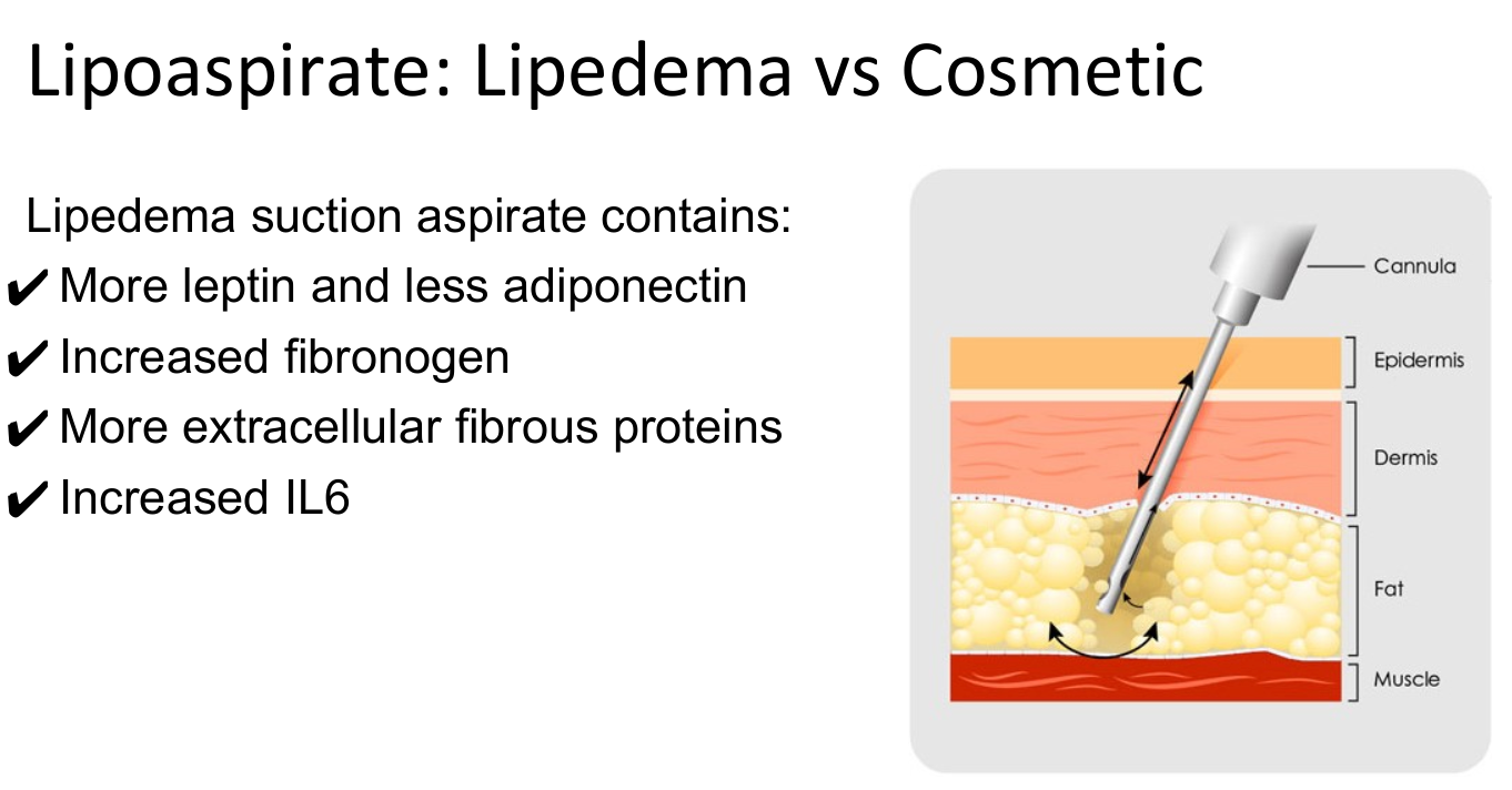 Understanding Lipoaspirate in Lipedema Surgery: Why Volume Doesn't Tell ...